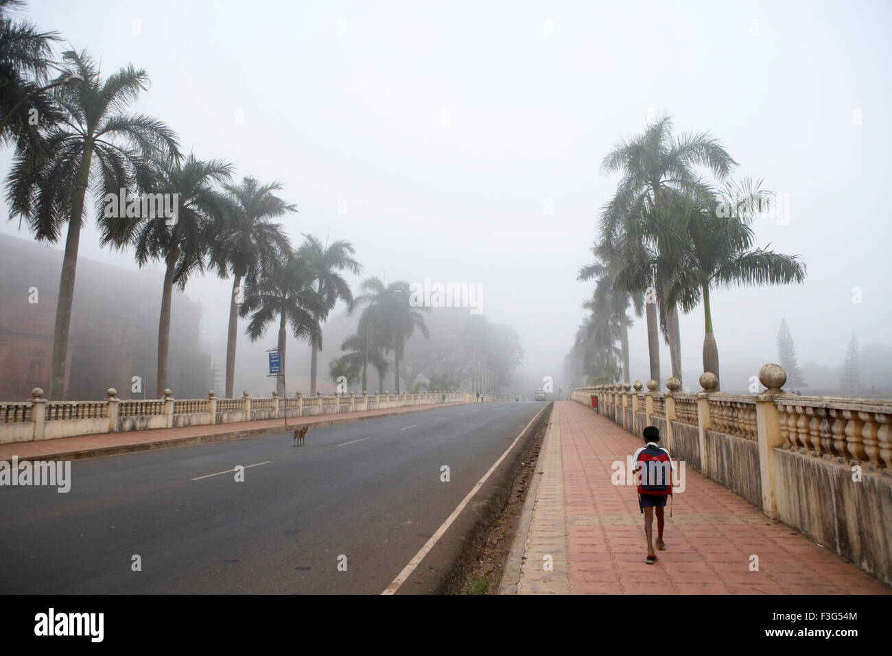 A Boy Going To School In Morning ; UNESCO World Heritage Site ; Old Goa ...
