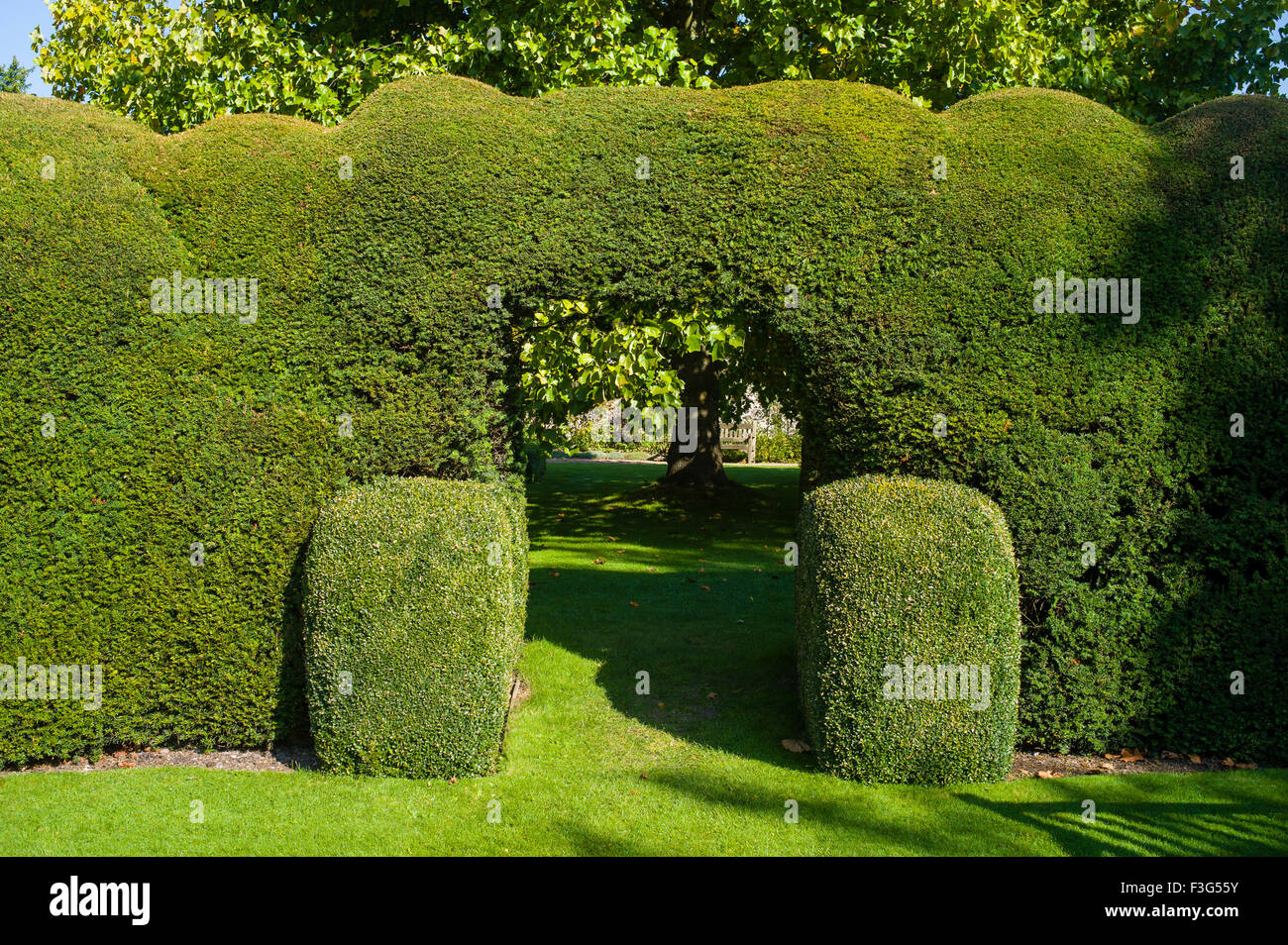 Yew hedge with arch hi-res stock photography and images - Alamy