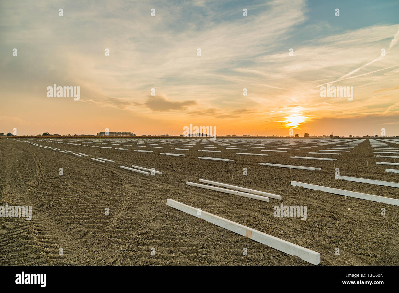 efficiency and effectiveness in modern agriculture, geometric designs ...