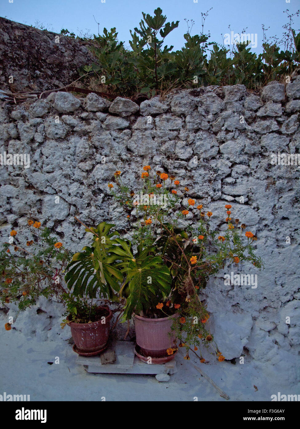 The mountain village of Pelekas in Corfu Stock Photo - Alamy