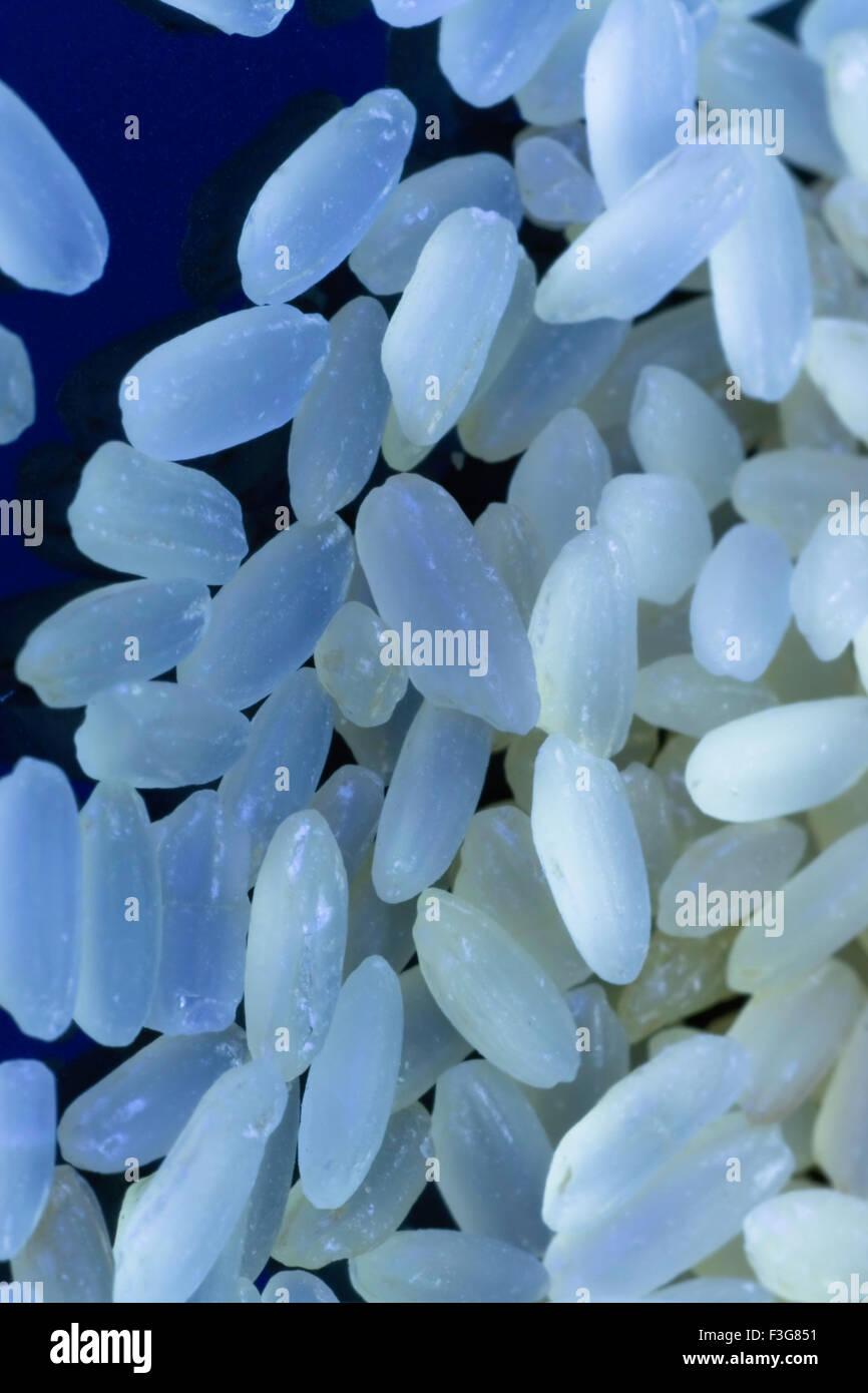 Rice on black background under neon light Stock Photo - Alamy