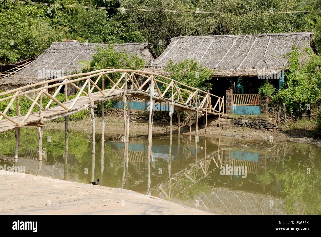 Huts with thatched roof connected by bamboo bridge at Om beach ; Kumta ...