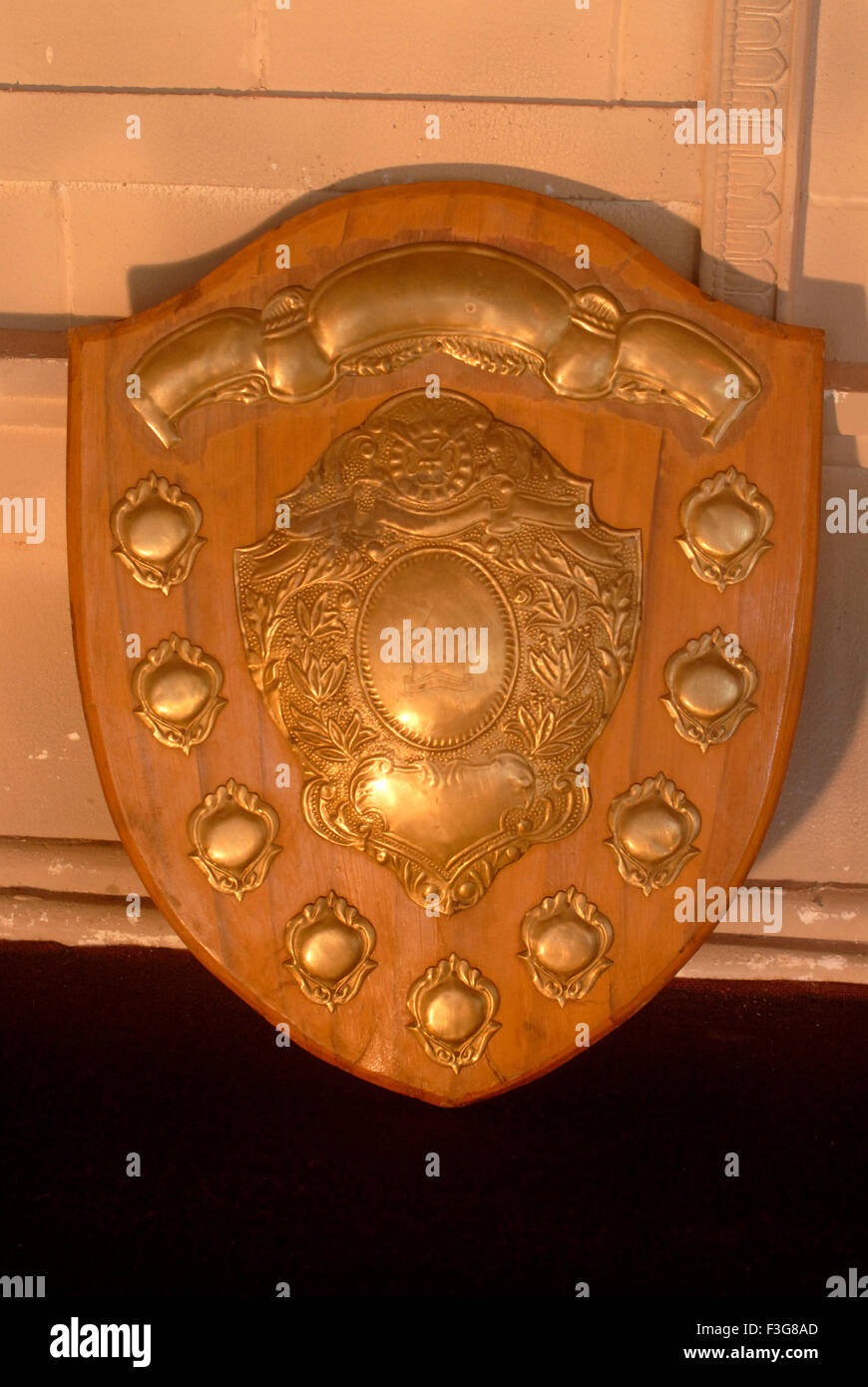 Award shield hi-res stock photography and images - Alamy