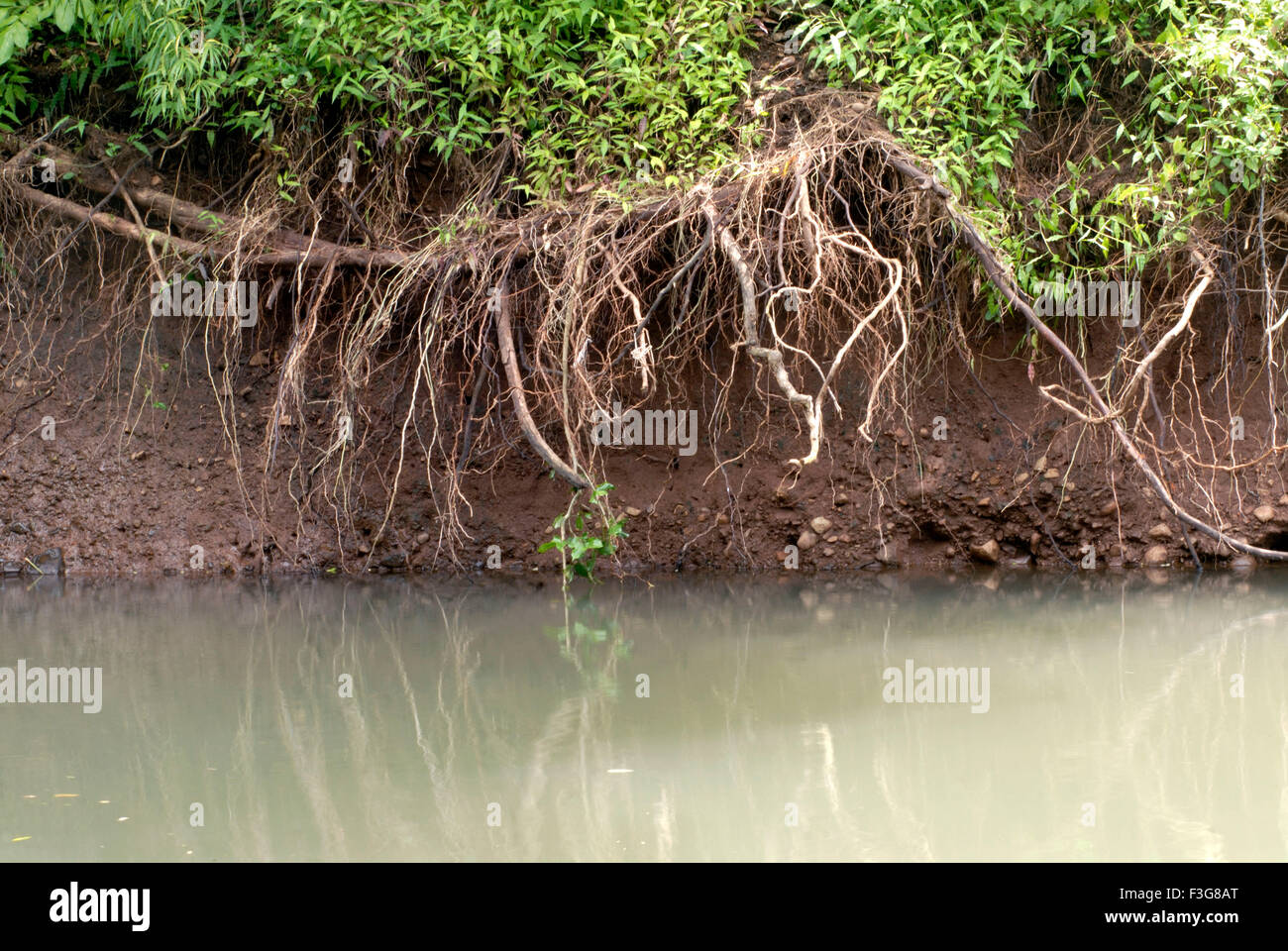 Soil erosion by water hi-res stock photography and images - Alamy