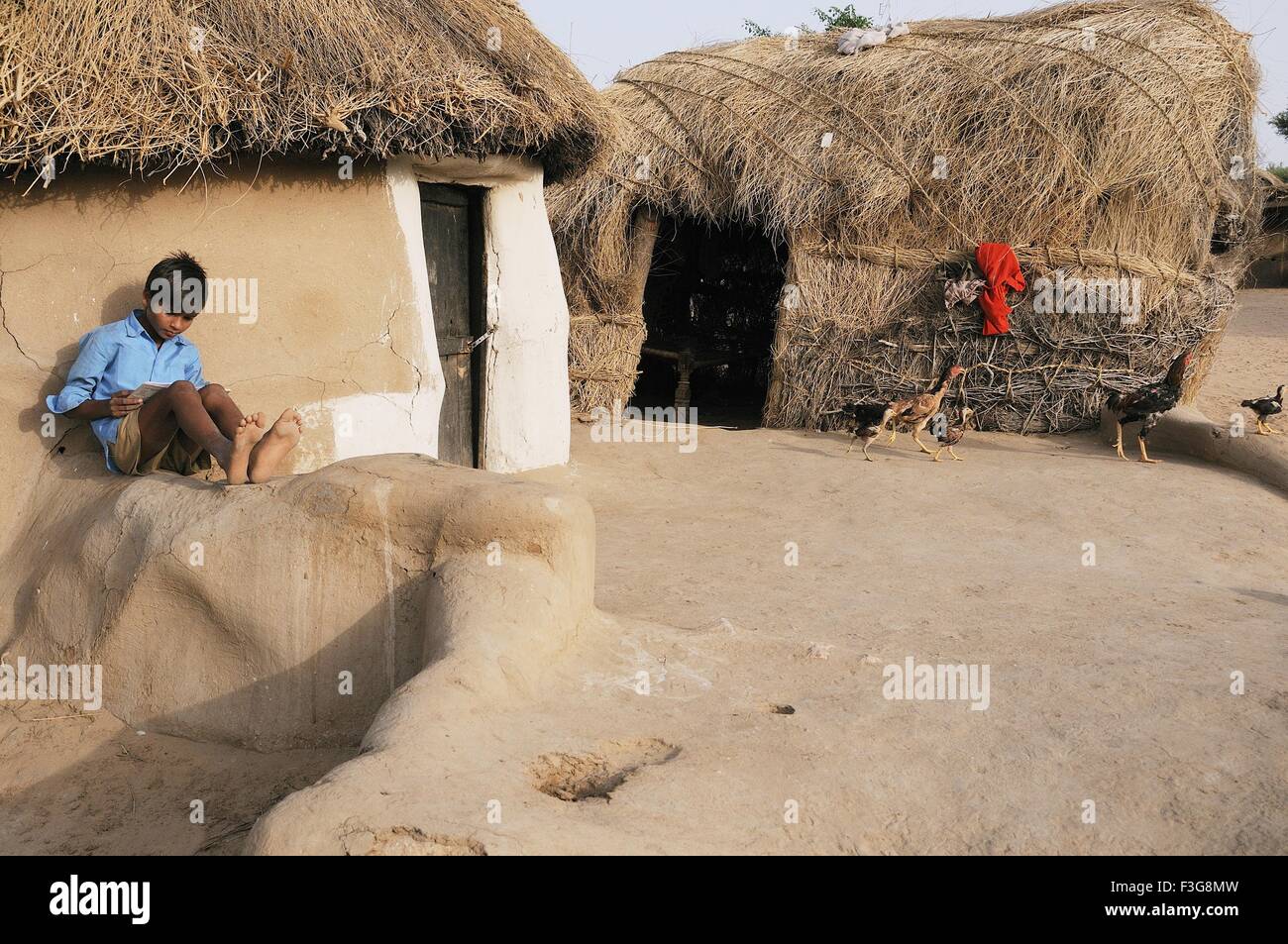 Rural Rajasthani boy reading book sitting on wall ; Sujangarh ...