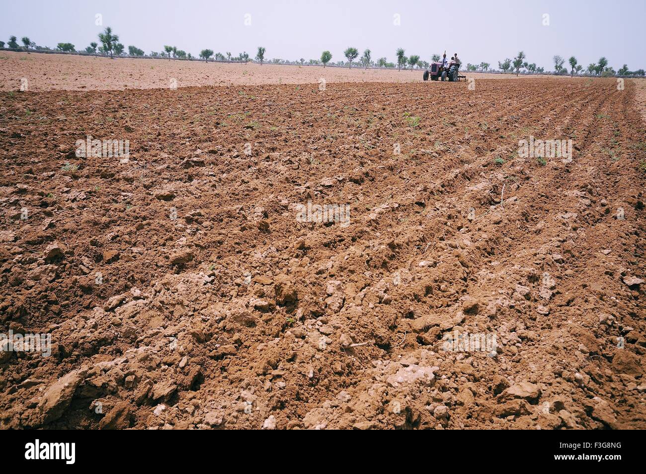 Tractor ploughing field ; Jajiwal ; Jajiwal Kalan ; Jodhpur ; Rajasthan ...