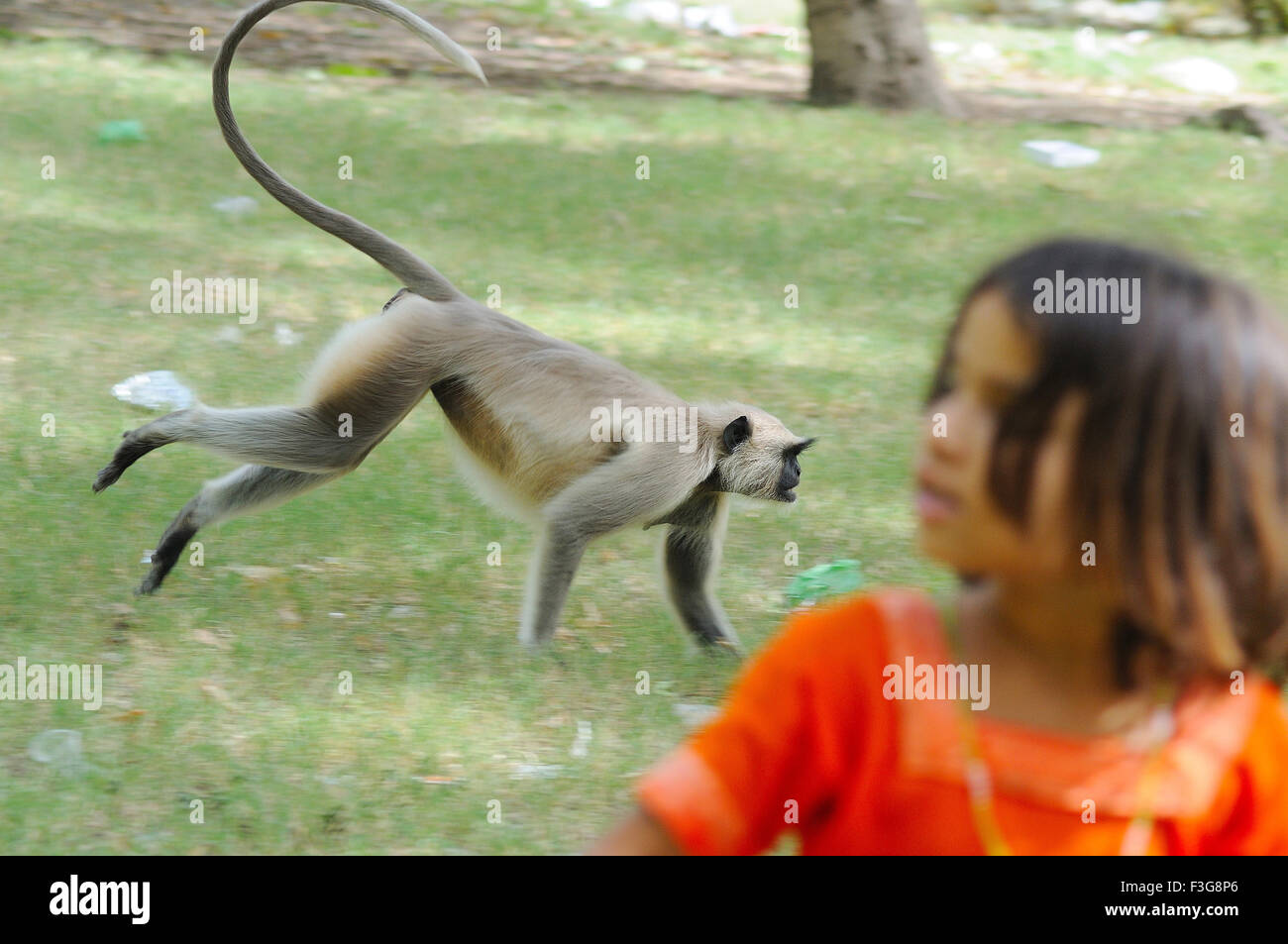 Girl zoo monkey hi-res stock photography and images - Alamy