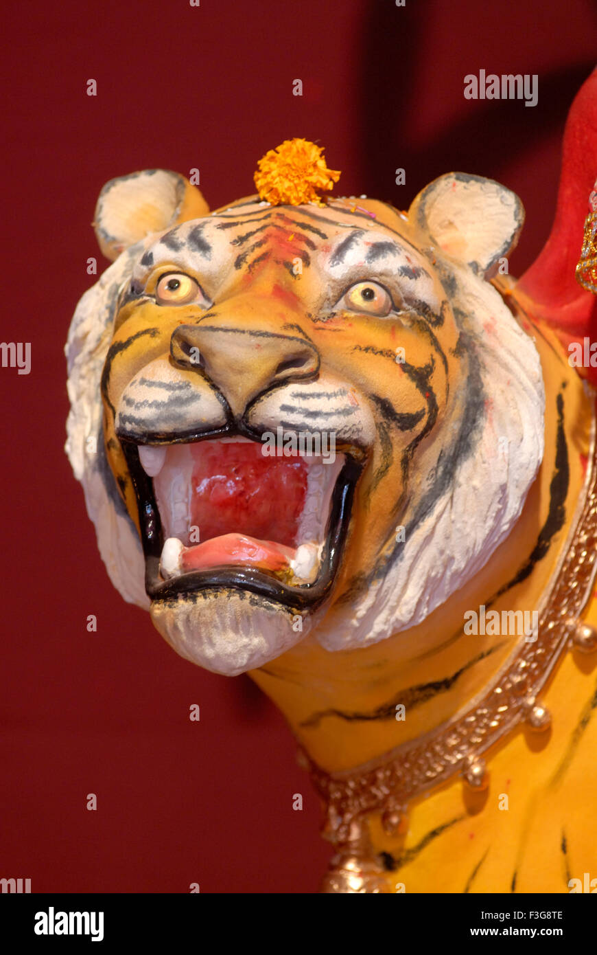 Tiger face close hi-res stock photography and images - Alamy