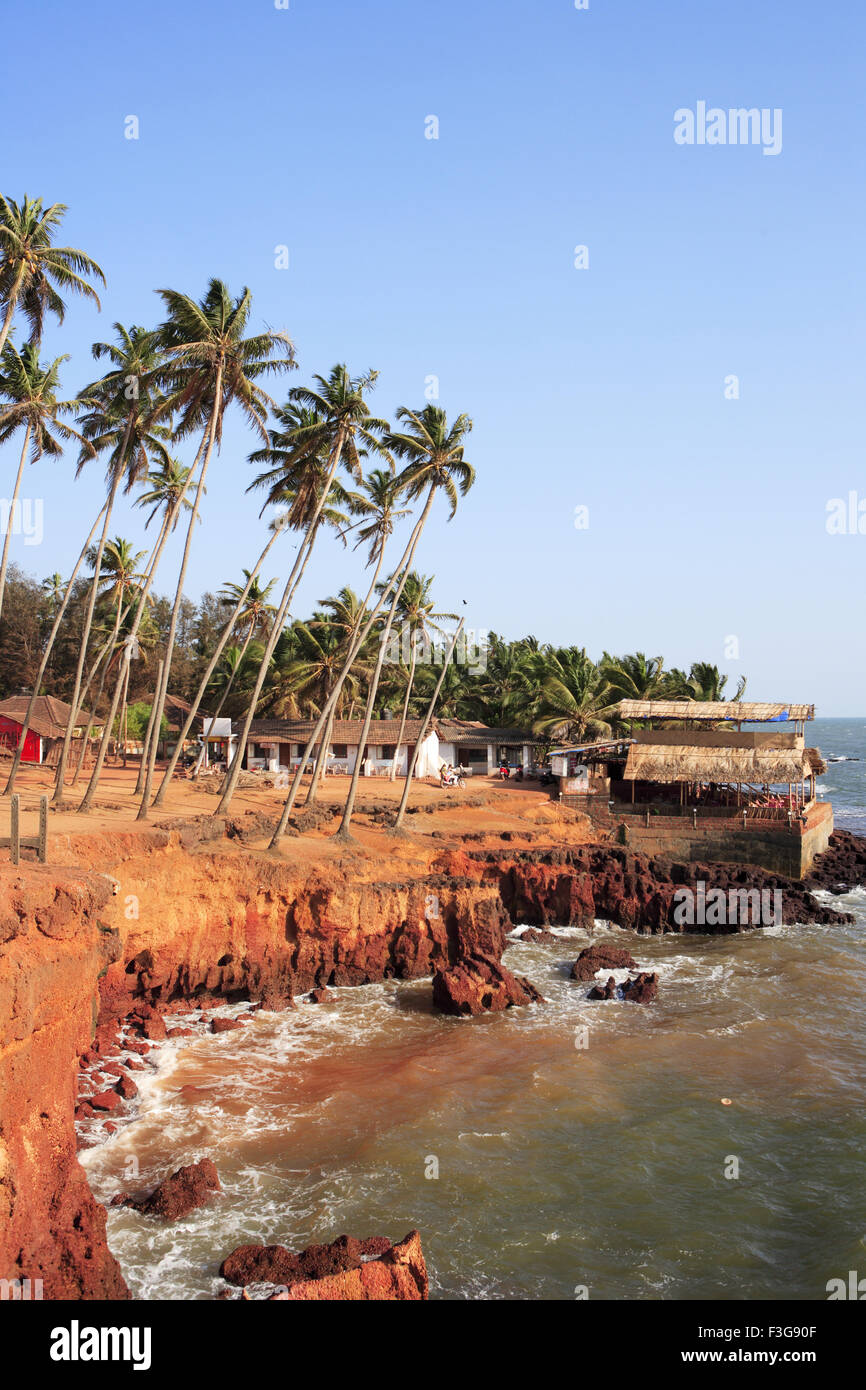 Anjuna beach ; palm trees ; Goa ; India ; Asia Stock Photo - Alamy