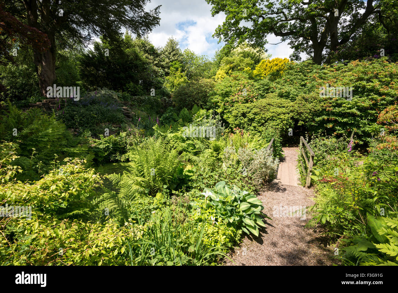 An informal area of Arley Hall gardens called the rootery Stock Photo ...