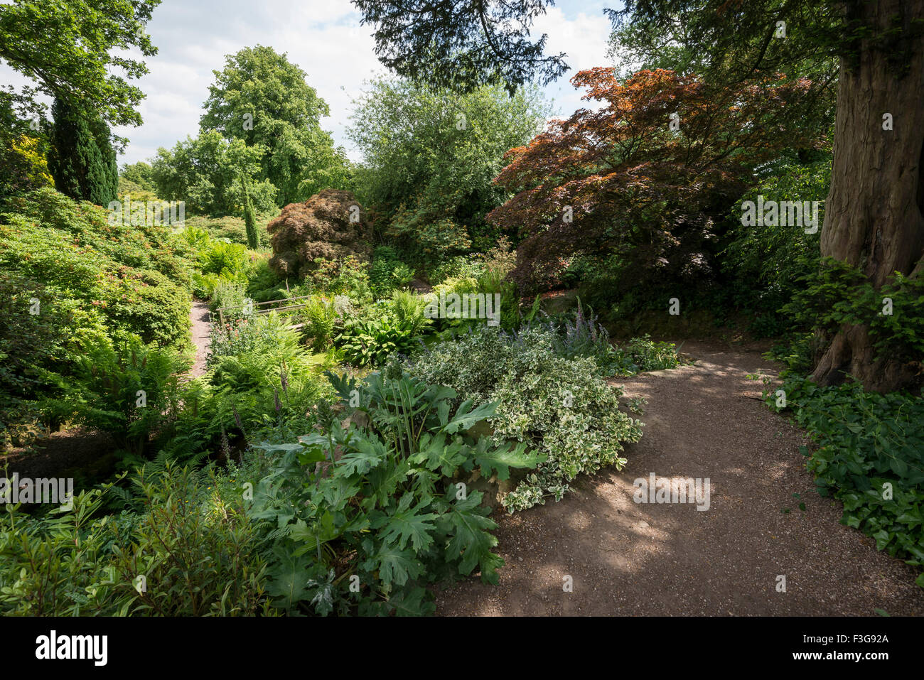 Arley hall gardens hi-res stock photography and images - Alamy