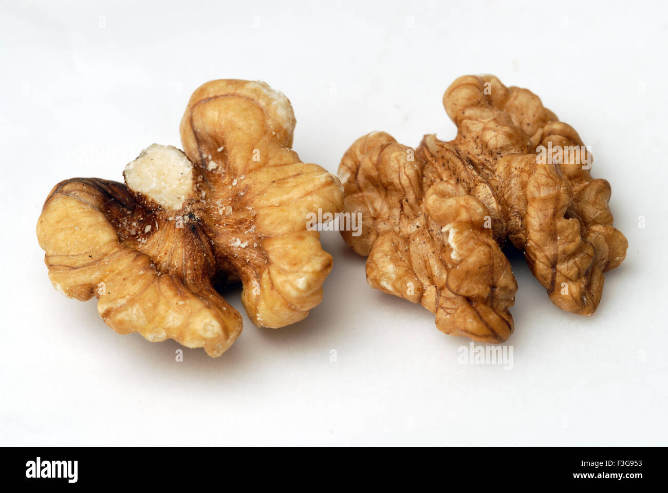 walnut ; dry fruit ; dried fruits ; white background Stock Photo - Alamy