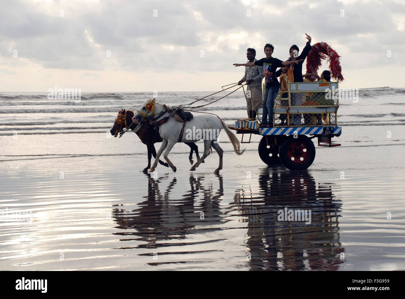 A Family enjoying a chariot ride on the beach ; MNGSR#342 Stock Photo ...