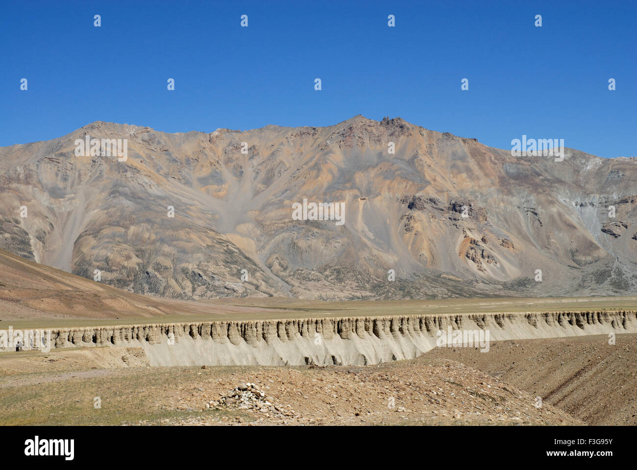 Darcha ; Ladakh ; Jammu & Kashmir ; India Stock Photo - Alamy