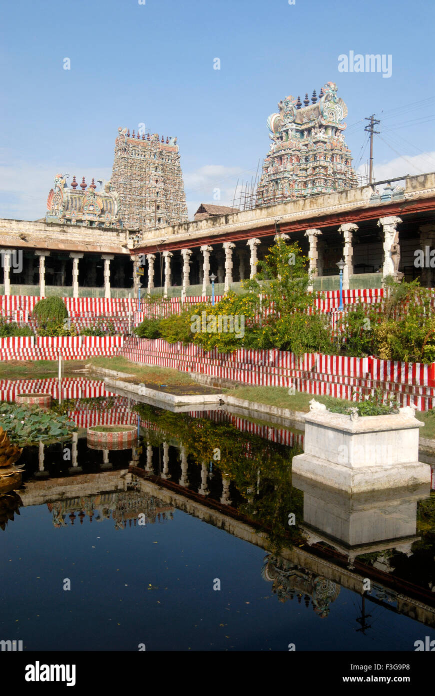 Golden Lotus tank at Shree Meenakshi Sundareswarar temple ; Madurai ...