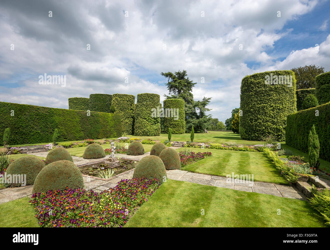 Lawn hedges hi-res stock photography and images - Alamy