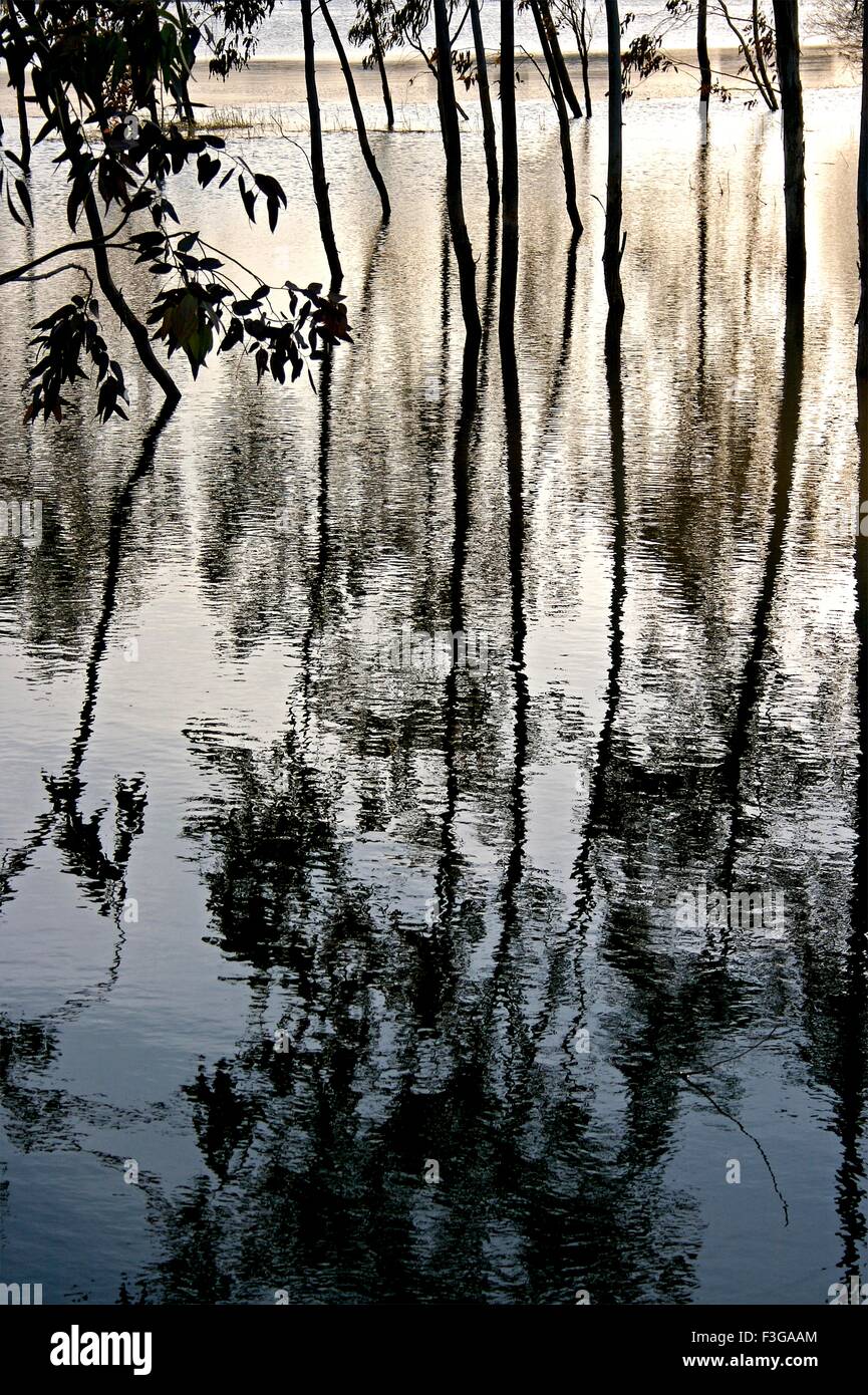 Reflections in water indian hi-res stock photography and images - Alamy