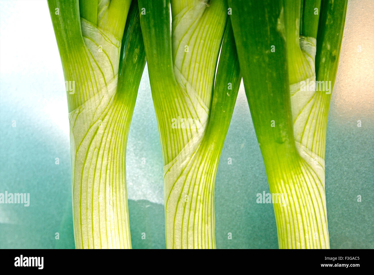 Three fresh green onions Stock Photo - Alamy