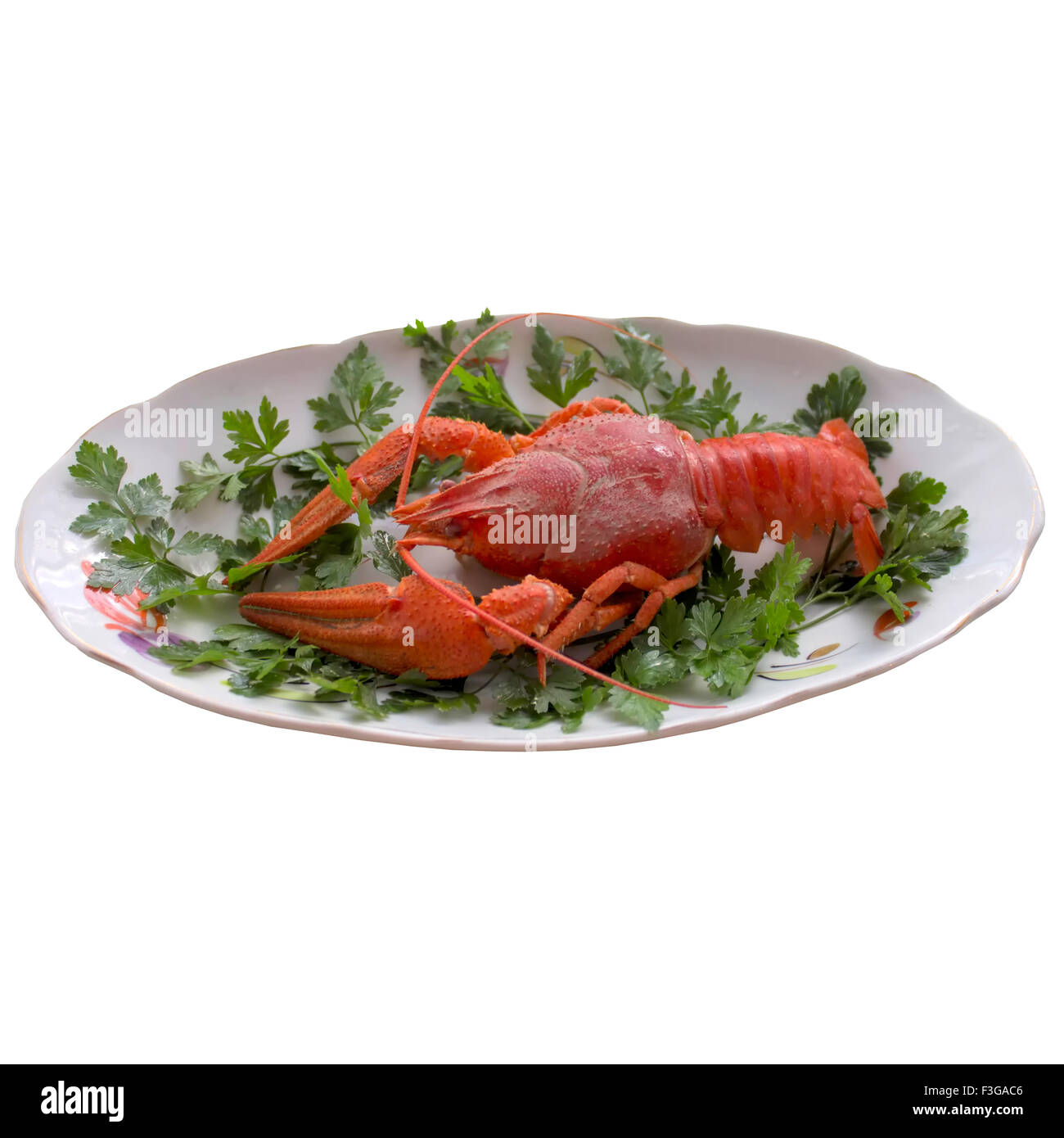 Cancer, Boiled, Dish to Cook, Horizontal, Rivers, Ready, For gourmets ...