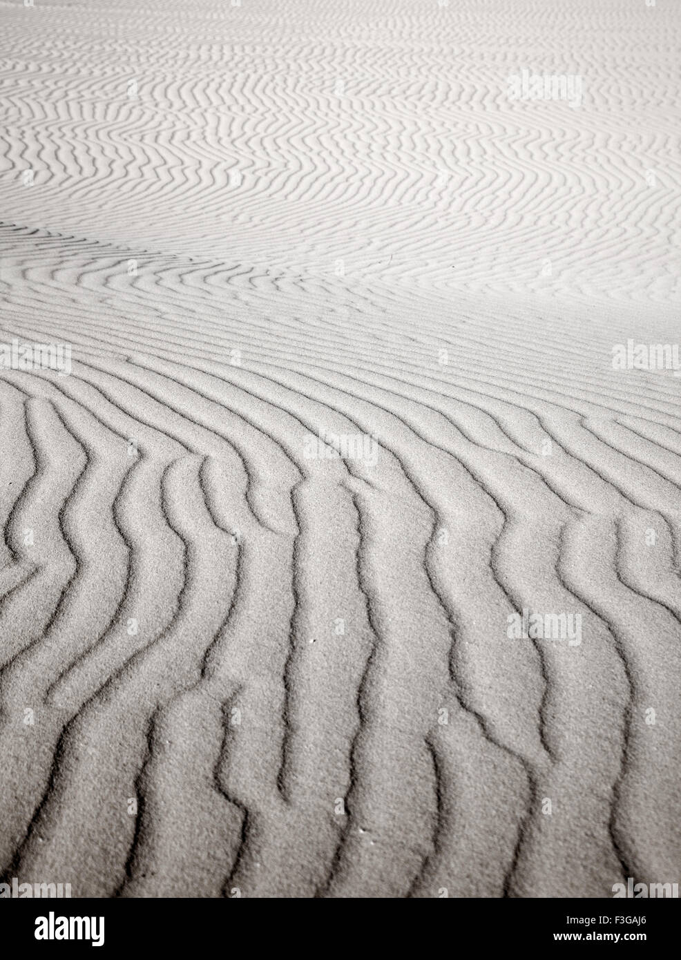 sand and wind pattern on dune surface natural background Stock Photo ...