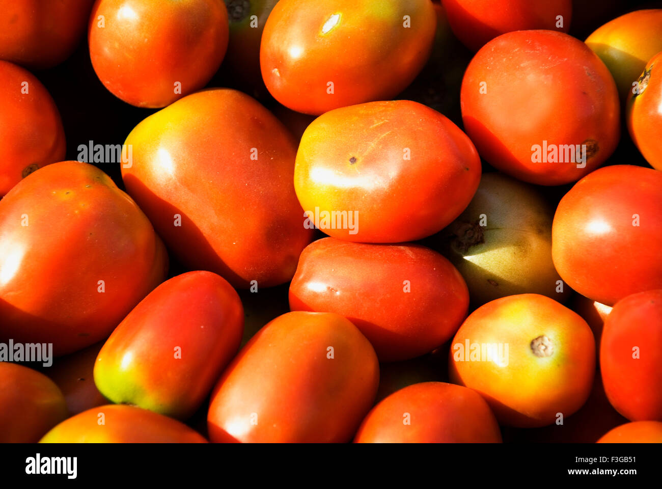 red tomatoes ; Udaipur ; Rajasthan ; India ; Asia Stock Photo - Alamy