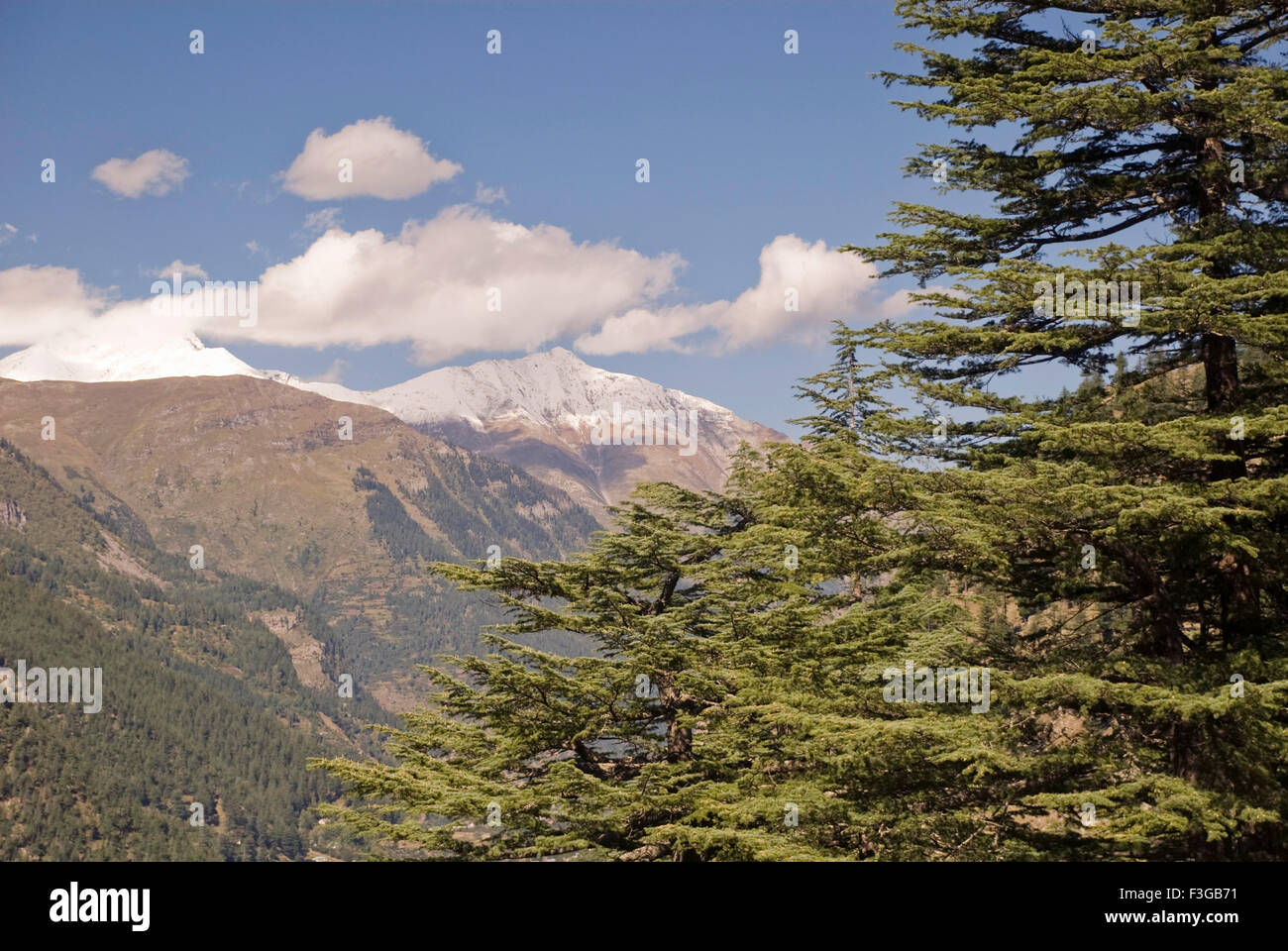 Valley ; Kalpa ; Sutlej river valley ; Reckong Peo ; Kinnaur district ...