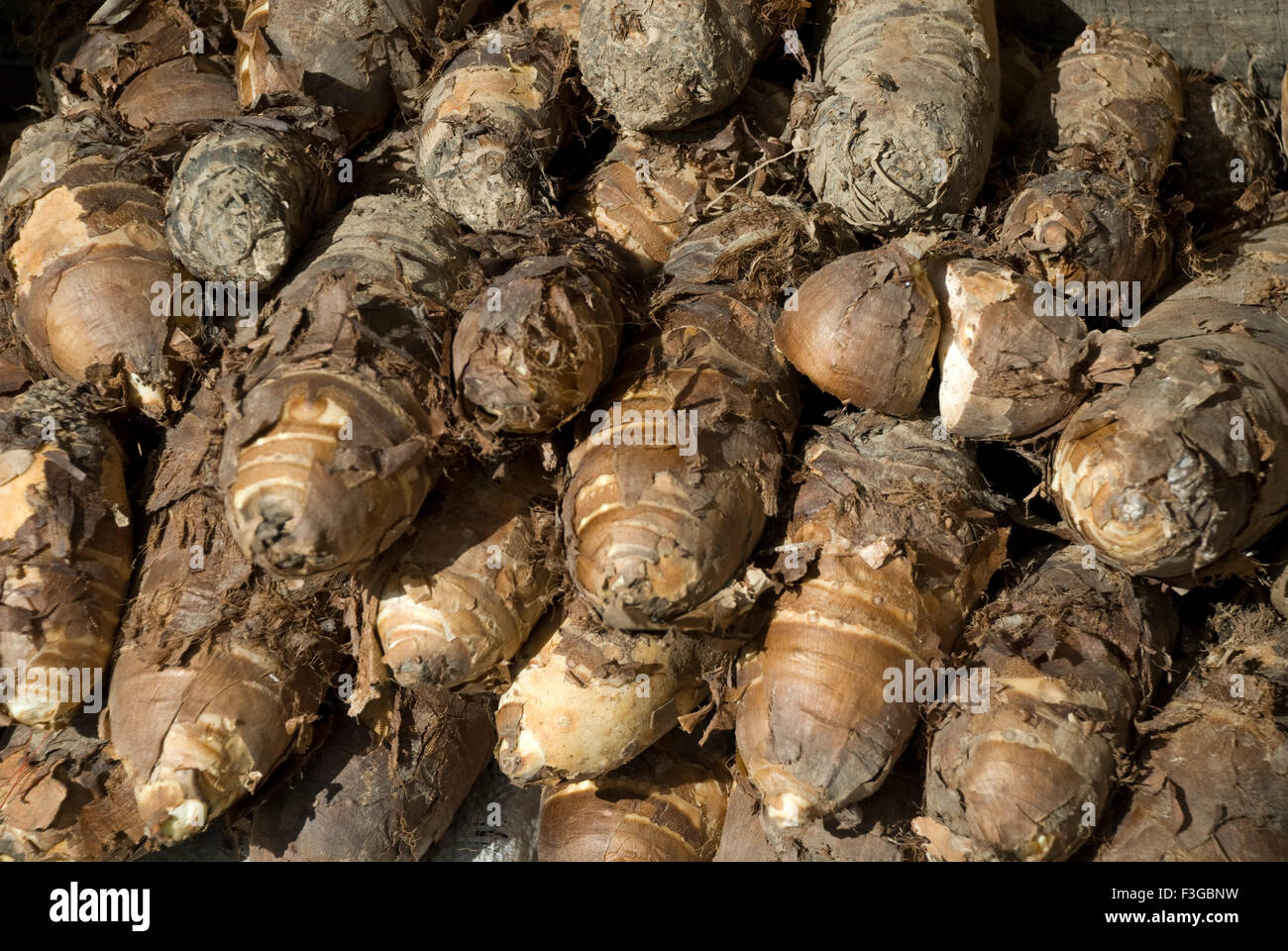 Arbi vegetable at kalpa hi-res stock photography and images - Alamy