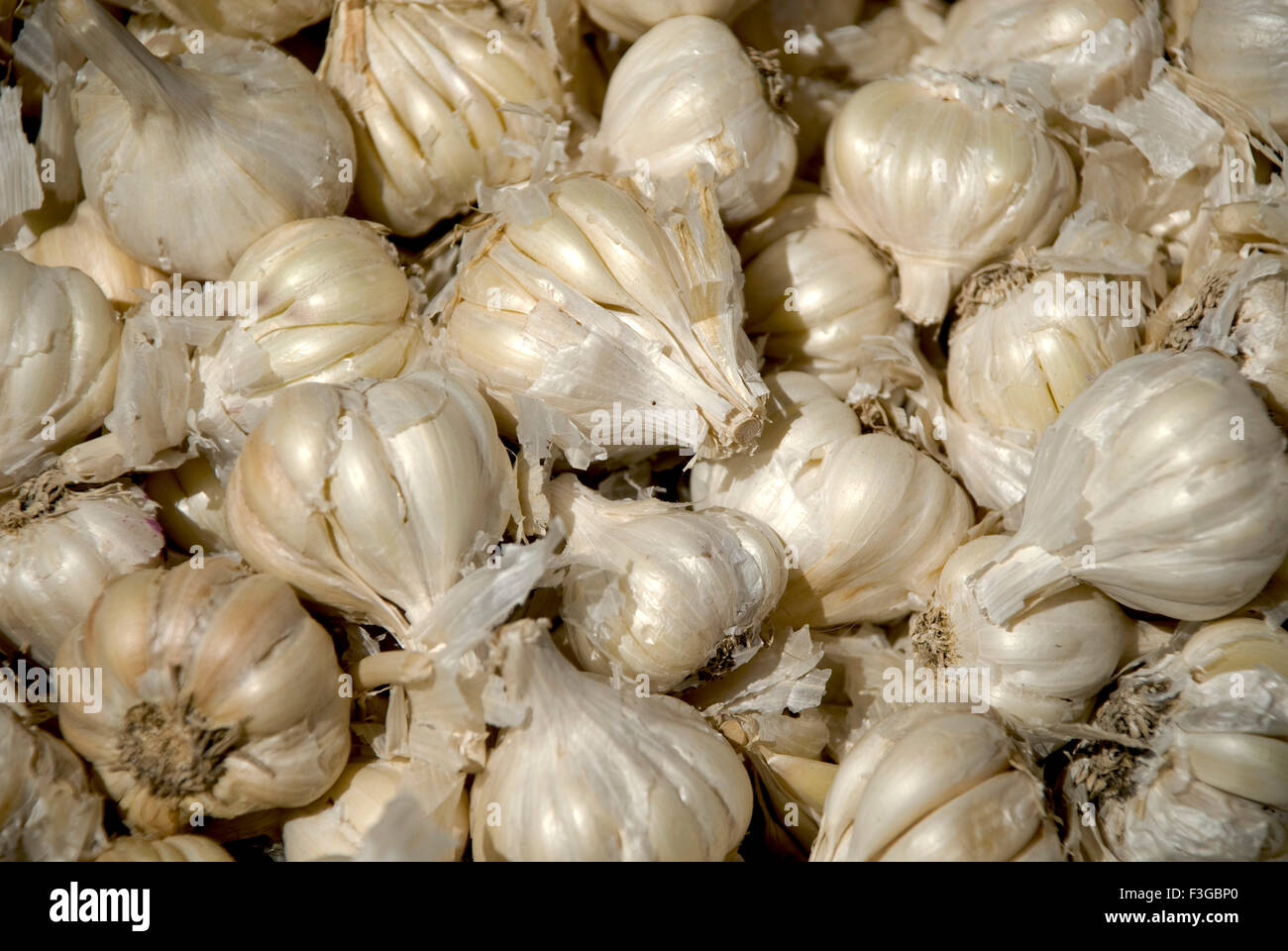 Himachal Pradesh Food High Resolution Stock Photography and Images - Alamy