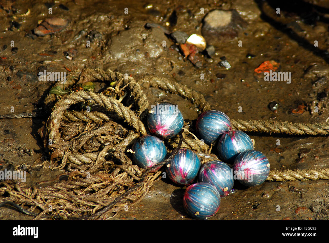 Plastic balls which keep the fishing news a float with their ropes ...