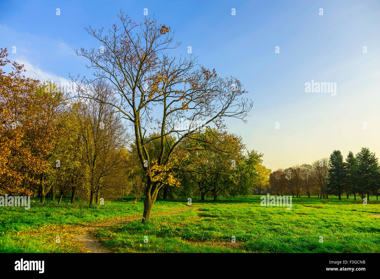 Narrow pathway hi-res stock photography and images - Alamy