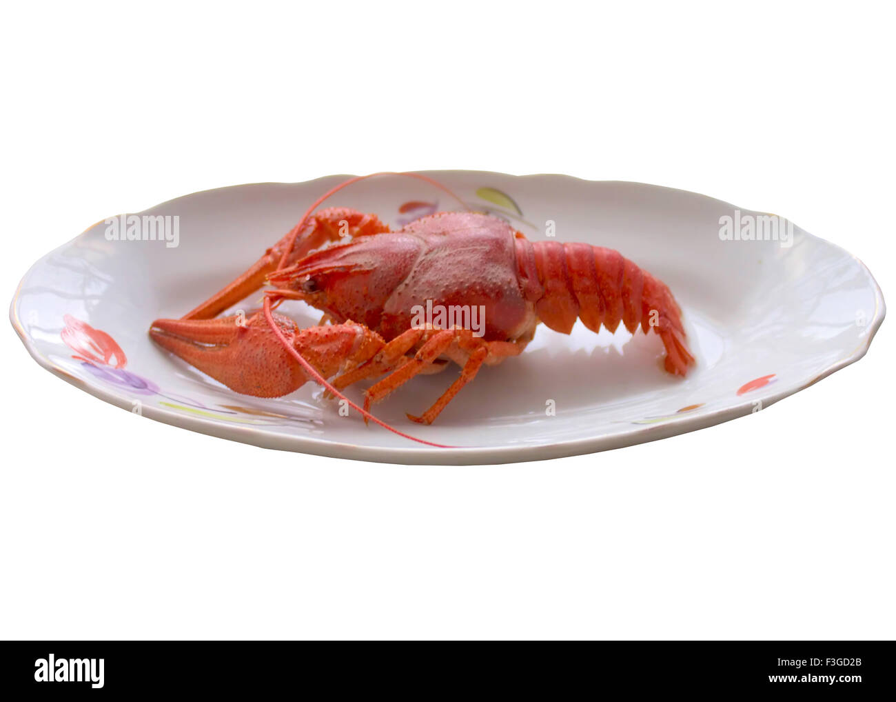 Cancer, Boiled, Dish to Cook, Horizontal, Rivers, Ready, For gourmets ...