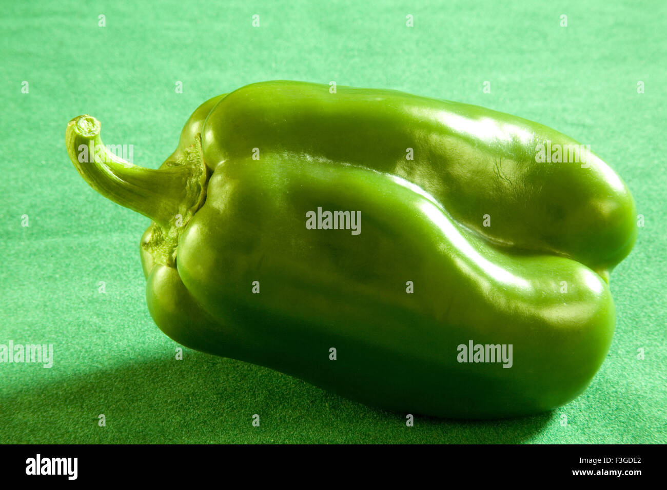 Vegetable ; spice chilli green Capsicum Shimla Mirch Capsicum annuum ...