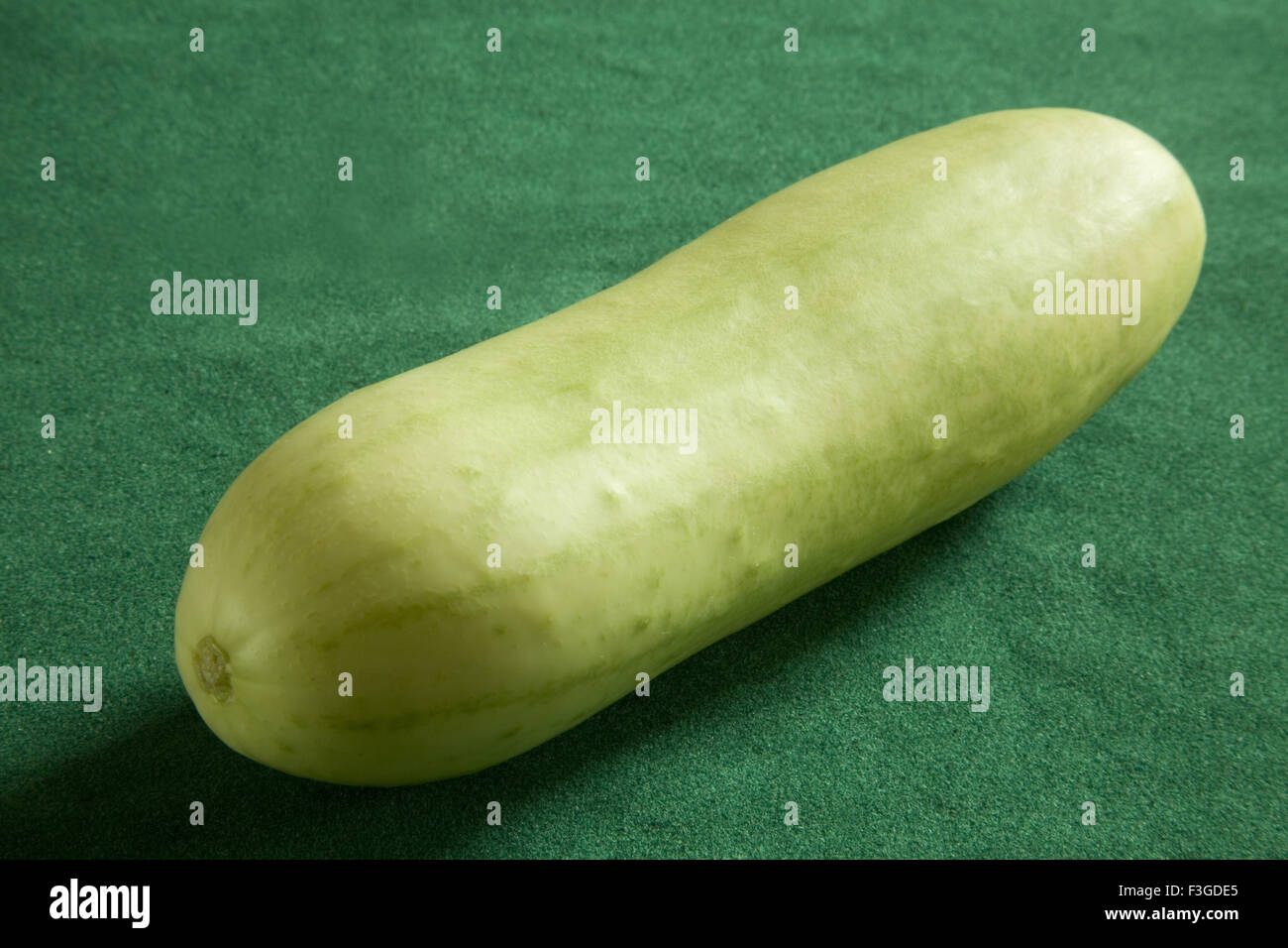Green vegetable ; Cucumber Kakdi on green background Stock Photo - Alamy