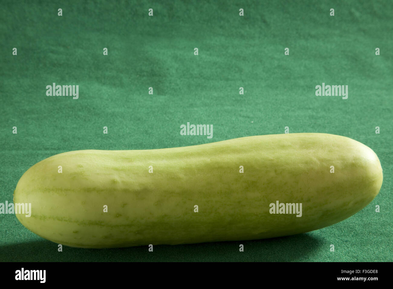 Green vegetable ; Cucumber Kakdi on green background Stock Photo - Alamy