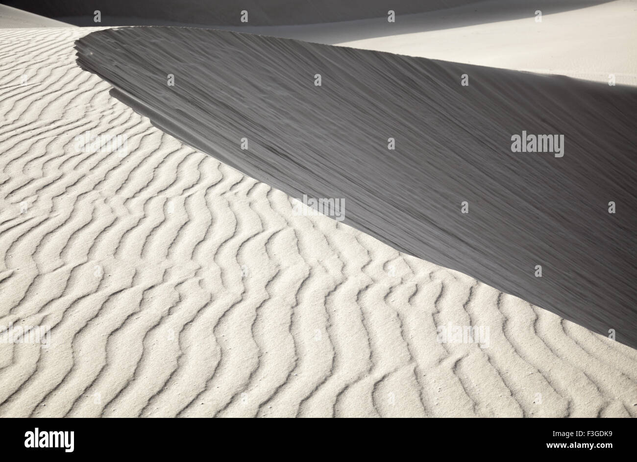 sand and wind pattern on dune surface natural background Stock Photo ...