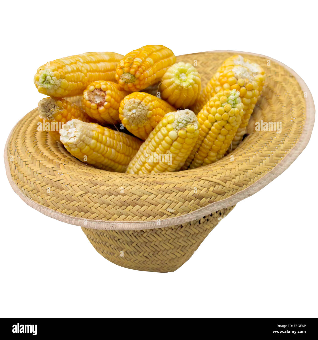 Grain, white, hat, corncob, summer, cob, closeup, isolated, produce ...