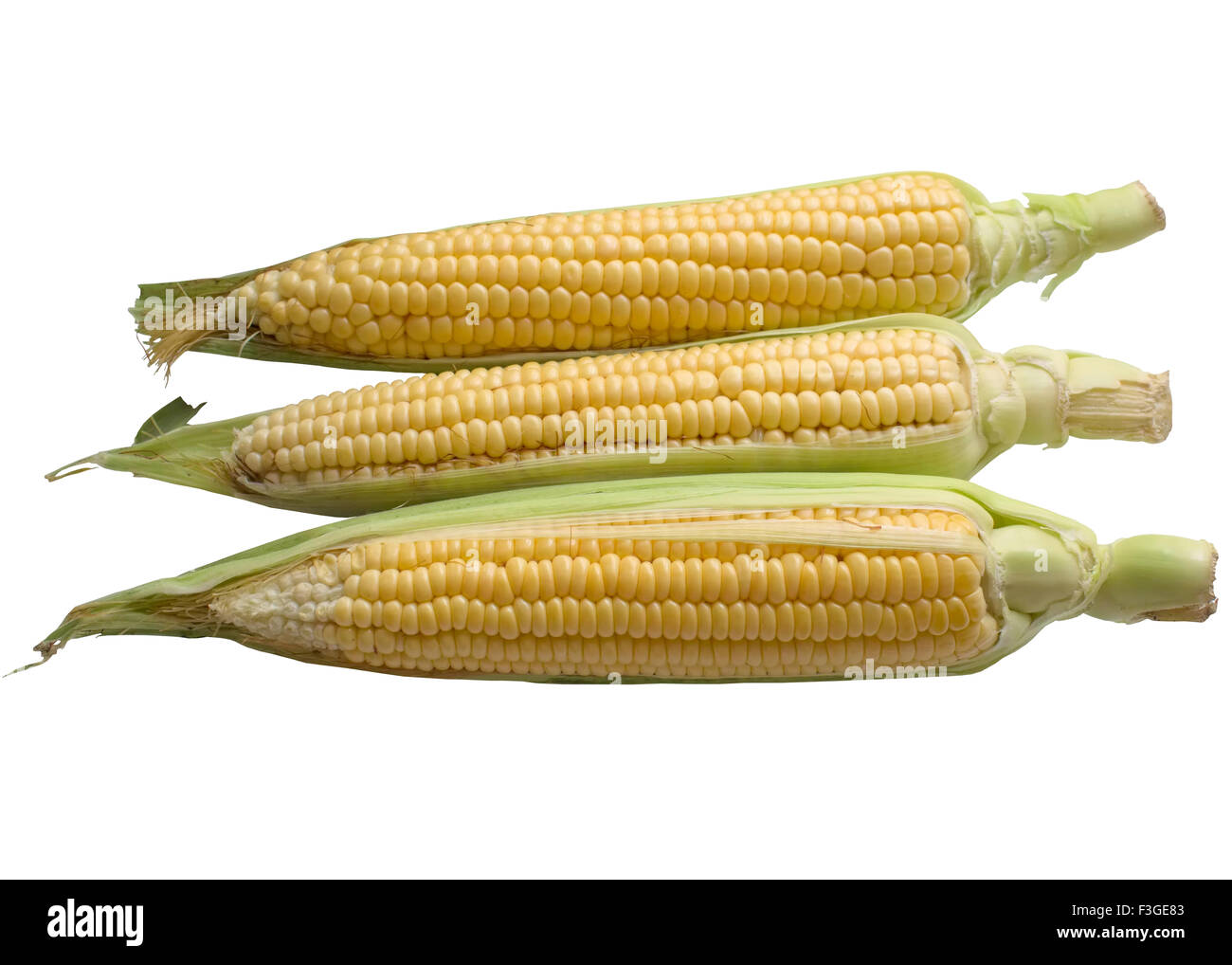 Corn, maize, sweetcorn, cob, kernels, isolated, grain, leaf, husk ...