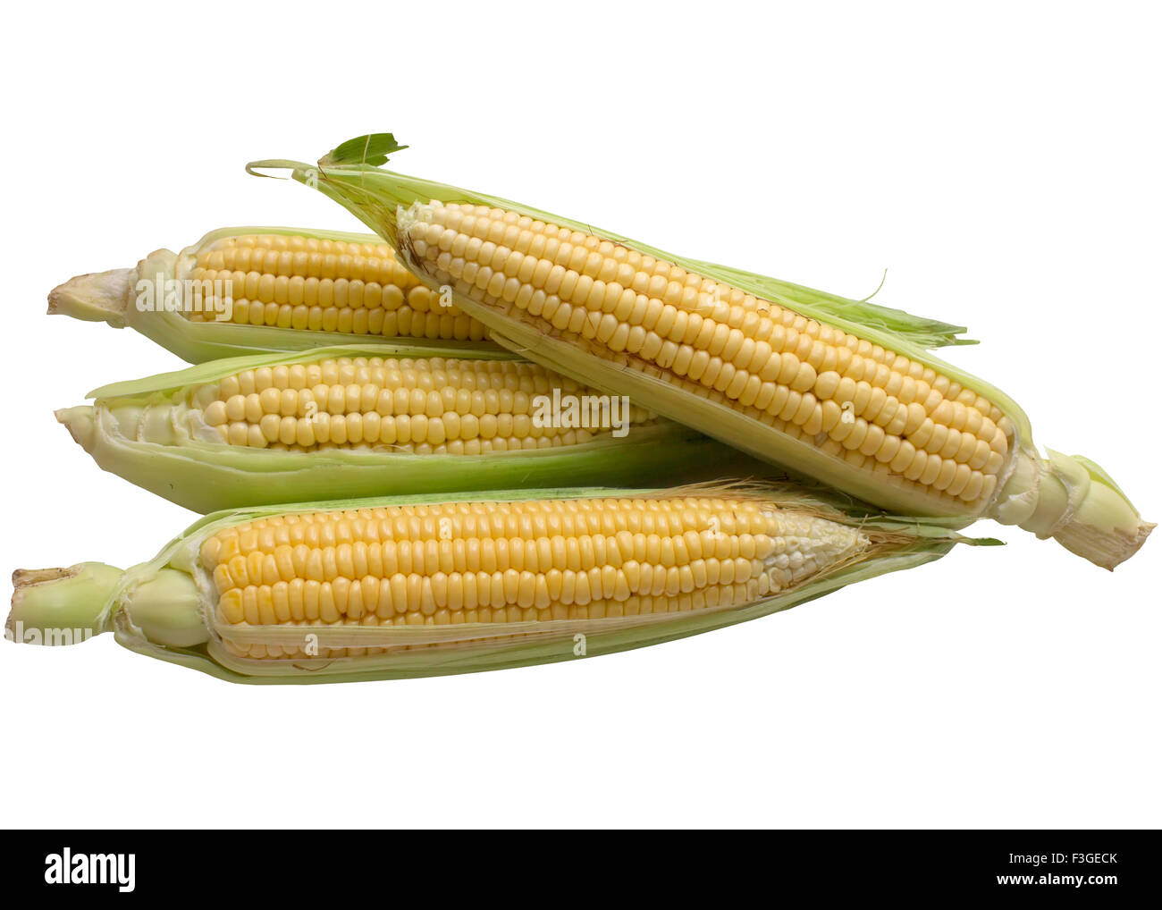 Corn, maize, sweetcorn, cob, kernels, isolated, grain, leaf, husk ...