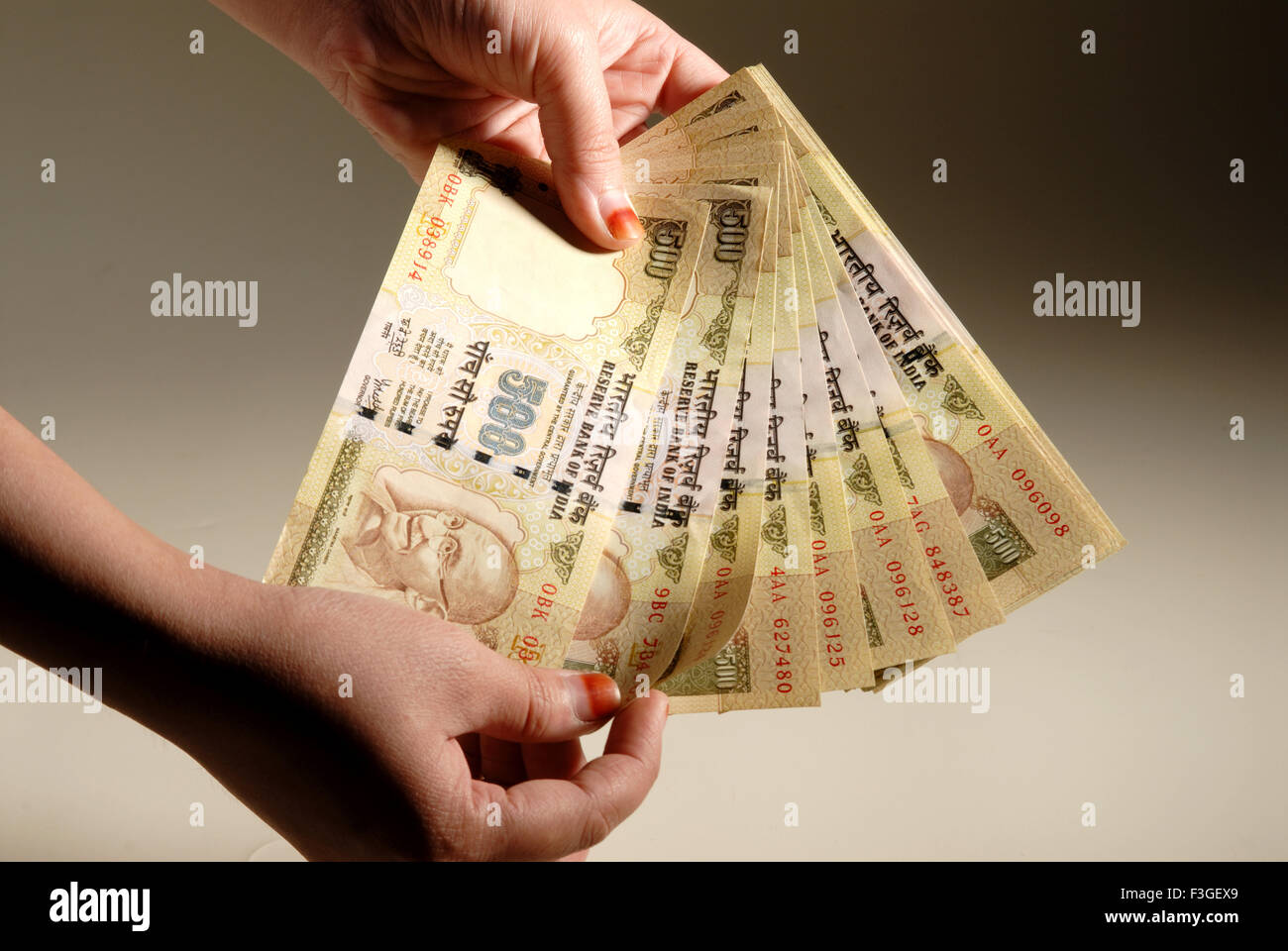 Indian Money 500 Rupees Bundles