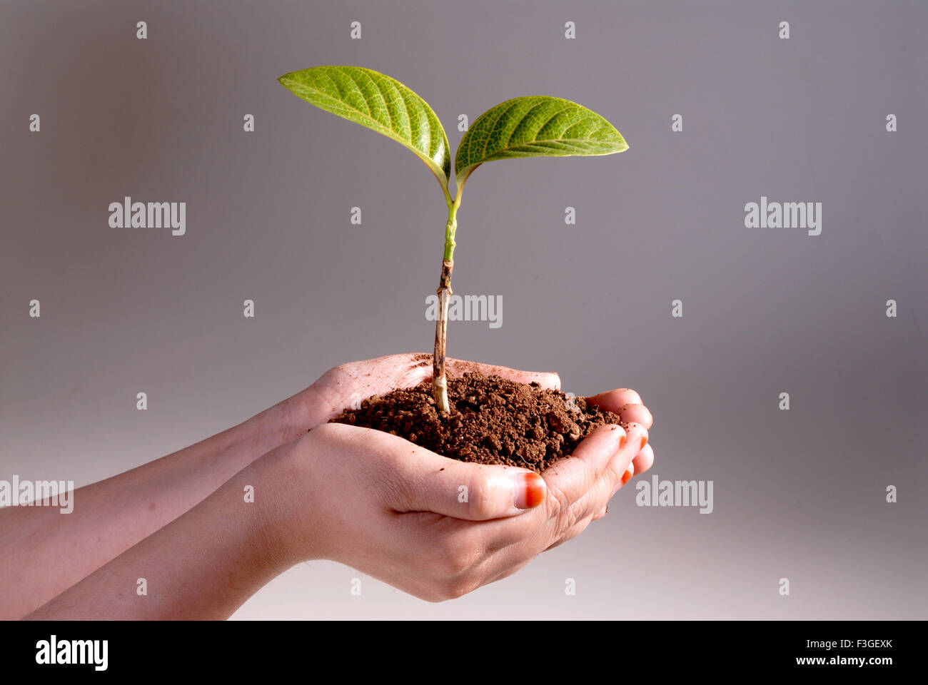 Hand cusp hi-res stock photography and images - Alamy