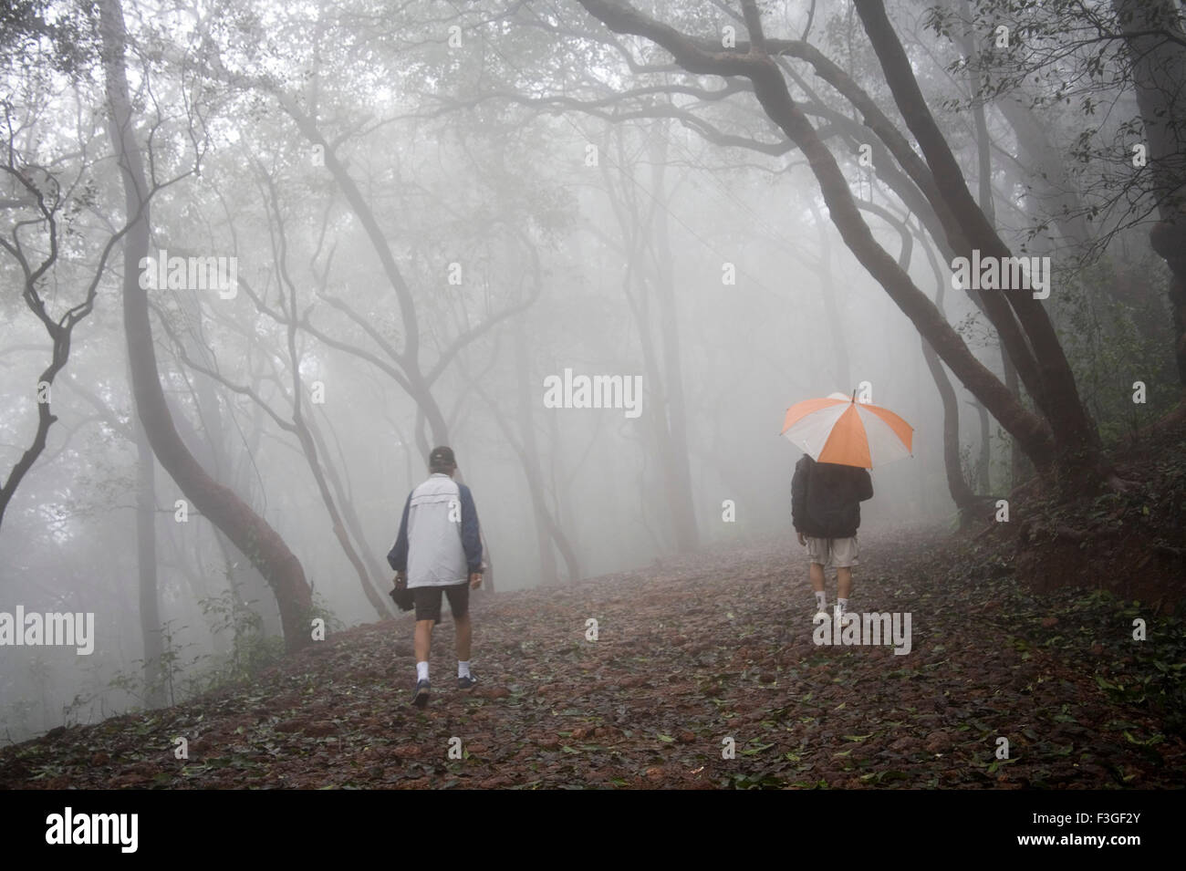 People taking walk early morning ; View of forest in Monsoon Season on ...