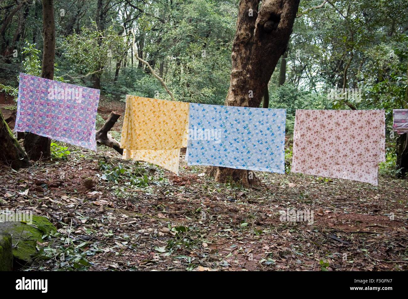 Wet sheets hang hi-res stock photography and images - Alamy