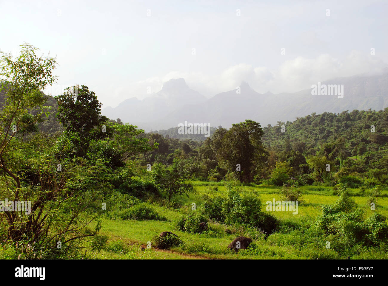 Badlapur Mountains ; Badlapur ; Bombay Mumbai ; Maharashtra ; India ...