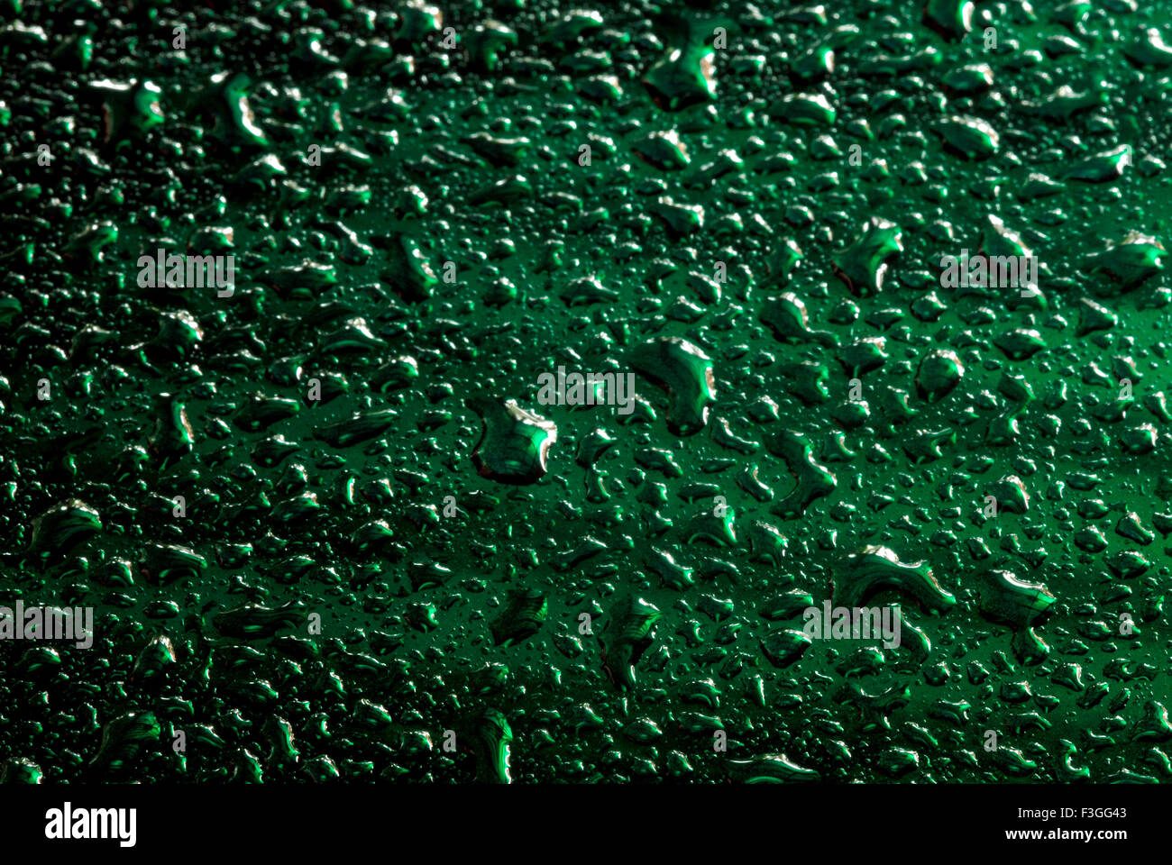 Rain bonnet hi-res stock photography and images - Alamy