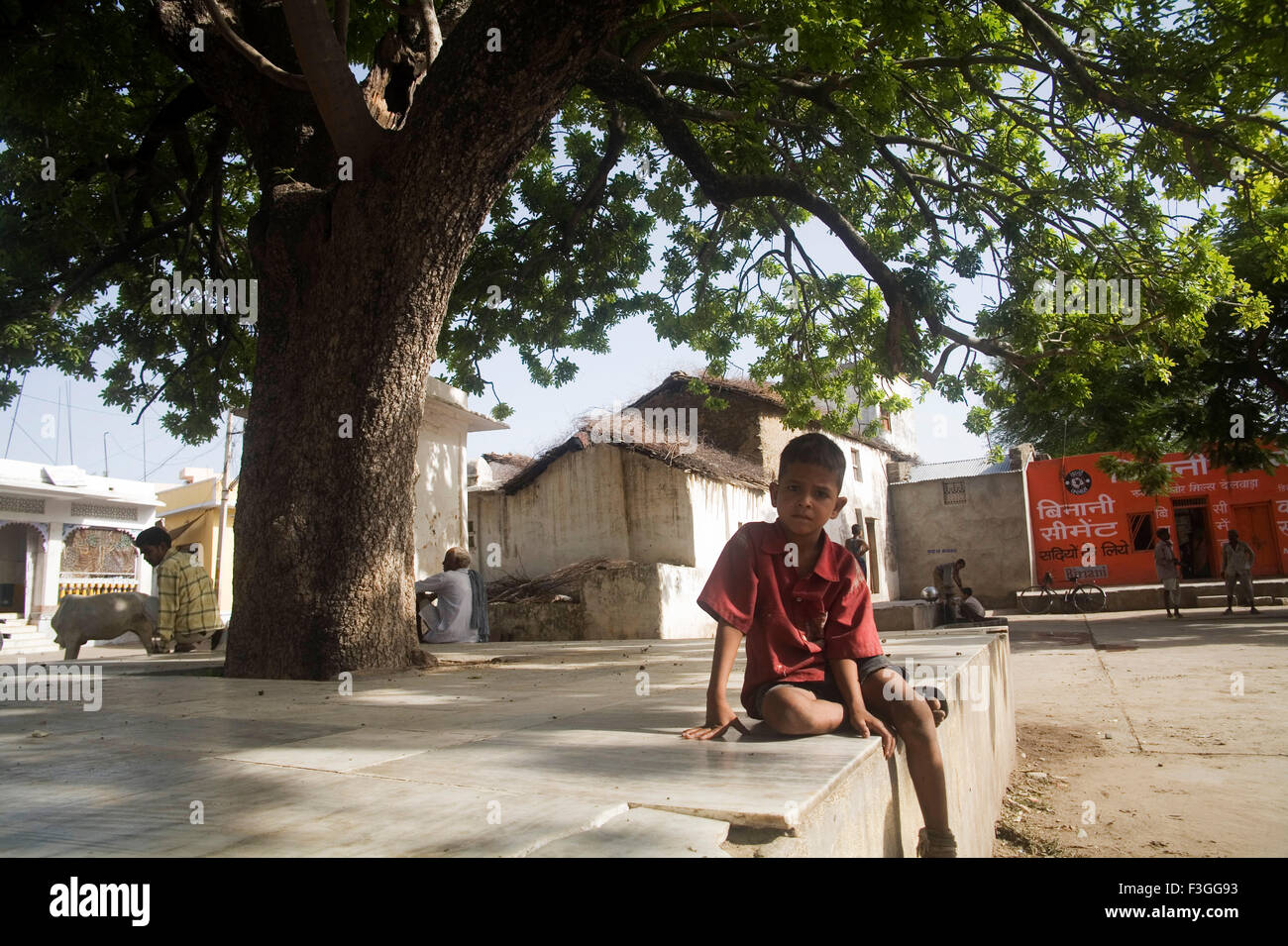 South Asian Indian Boy sitting under Banyan tree ; Village Delwada ...