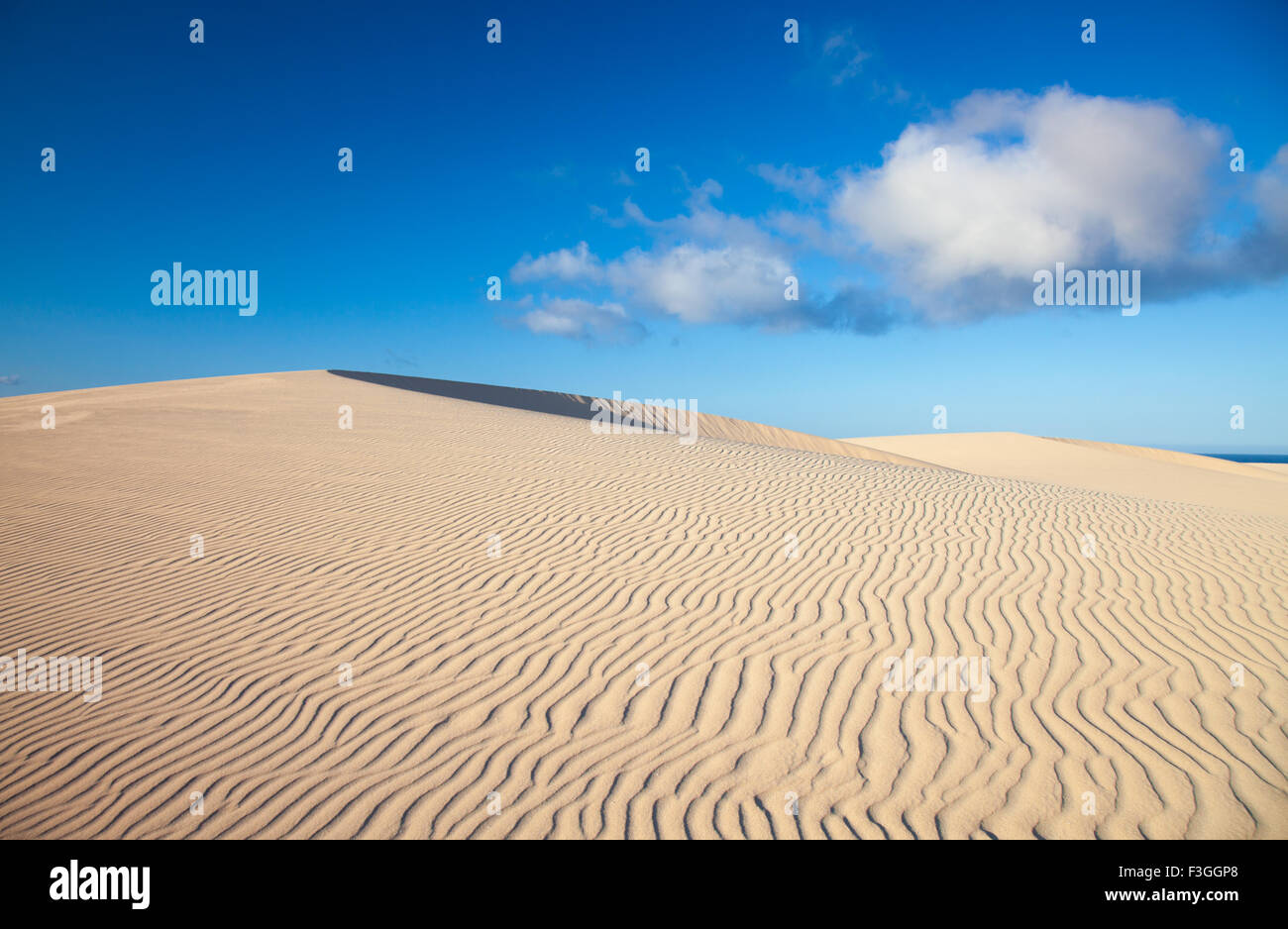 sand and wind pattern on dune surface natural background Stock Photo ...
