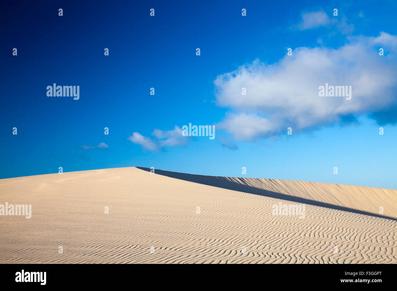 sand and wind pattern on dune surface natural background Stock Photo ...