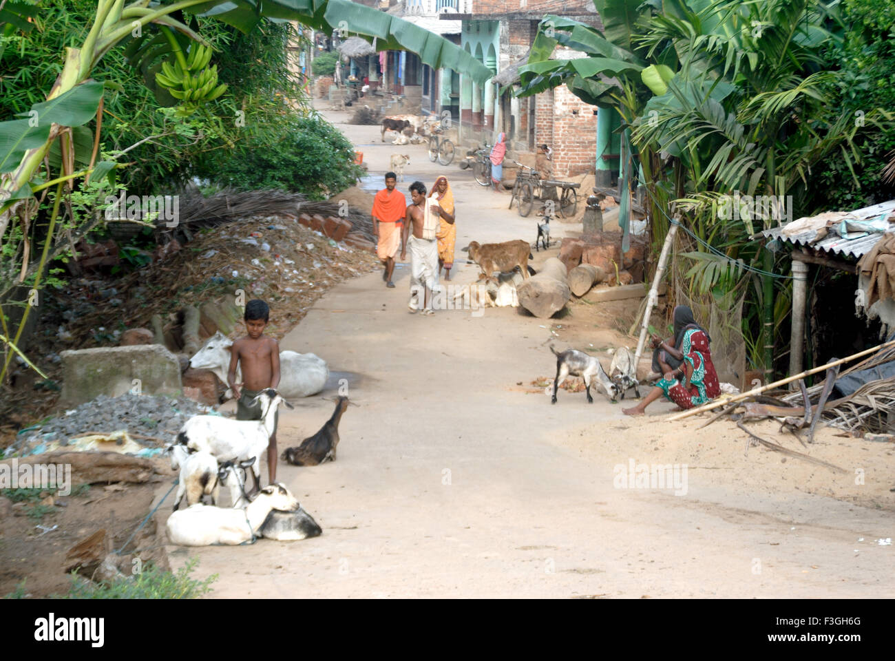 Village life ; People are Busy with the Daily Routine work ; Jaganath ...