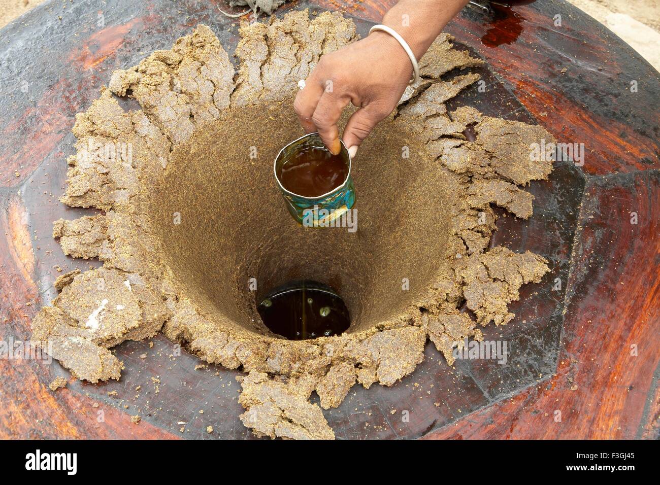 Woman lifting mustard oil with the help of a container from the well of ...