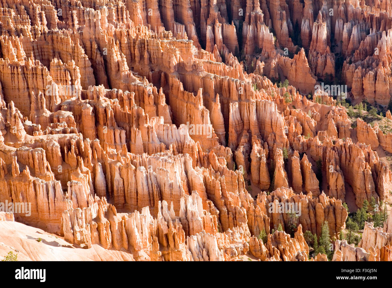 Hoodoos ; pillar of rocks made by erosion at Bryce Canyon national park ...